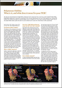 Q5 High Fidelity DNA Polymerase - New England Biolabs GmbH