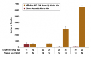 NEBuilder HiFi DNA Assembly - New England Biolabs GmbH