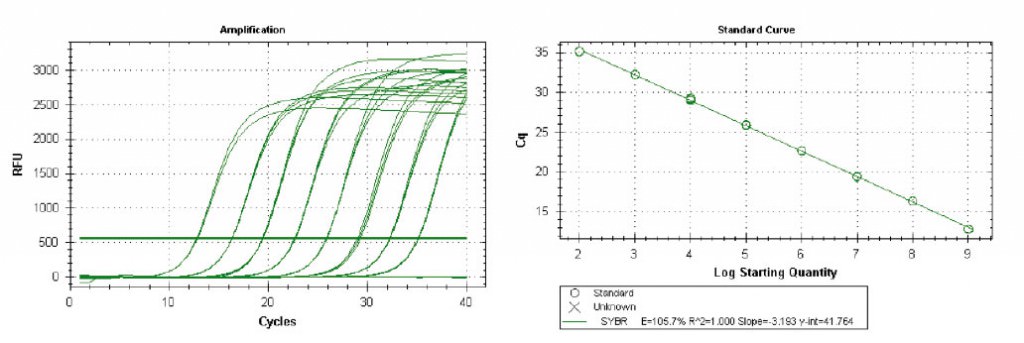 Reverse Transcription / cDNA Synthesis - New England Biolabs GmbH