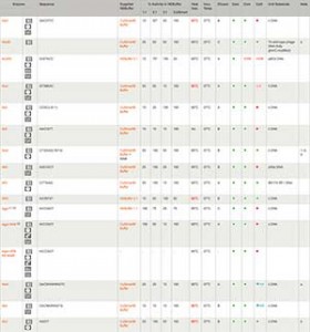 rCutSmart - NEB Puffer System - New England Biolabs GmbH