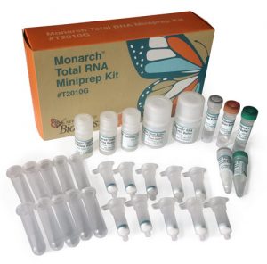 Monarch Spin RNA Isolation Kit (Mini) - New England Biolabs GmbH