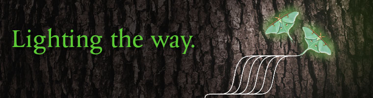 LunaScript RT SuperMix Kit – Unequaled 2-step RT-qPCR performance with ...