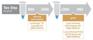 LunaScript™ RT SuperMix Kit - New England Biolabs France