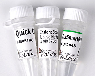 FastCloning with reagents from NEB – Request a free sample now! - New ...