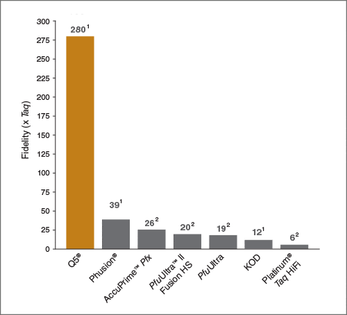 Q5 High-Fidelity DNA Polymerase | New England Biolabs