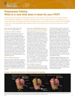 Q5 High Fidelity DNA Polymerase - New England Biolabs GmbH