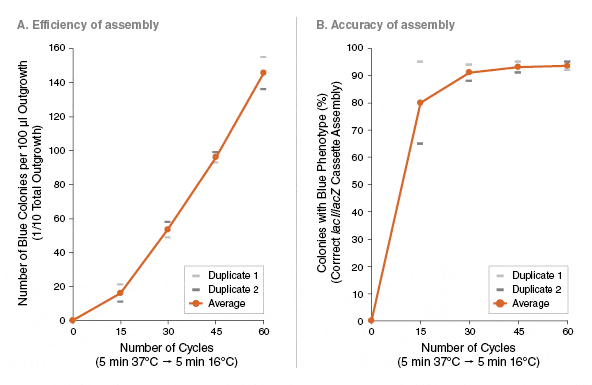 Golden Gate Assembly - New England Biolabs GmbH