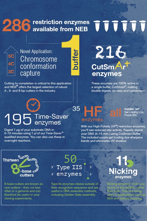 Restriktionsenzyme von NEB - New England Biolabs GmbH
