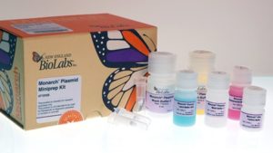 Monarch Spin Plasmid Miniprep Kit - New England Biolabs GmbH
