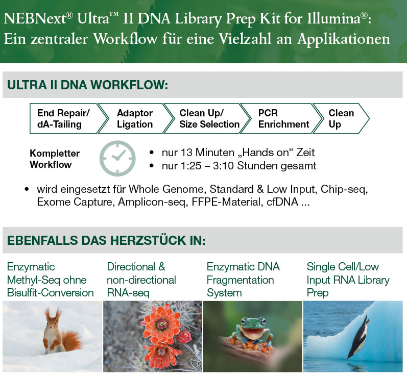 NEBNext Ultra II – The core of NGS Library Prep for Illumina - New ...