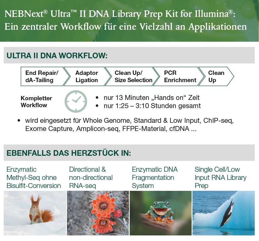 NEBNext Ultra II – The core of NGS Library Prep for Illumina - New ...