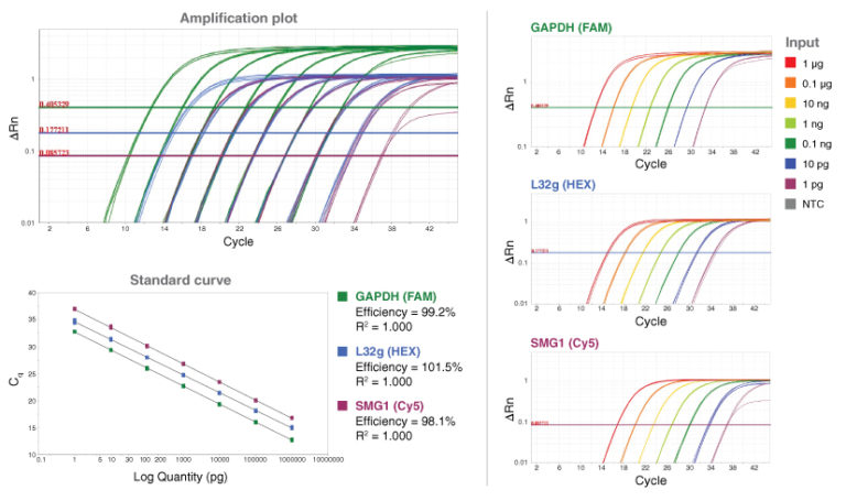 Luna Universal Probe One-Step RT-qPCR Kits - New England Biolabs GmbH