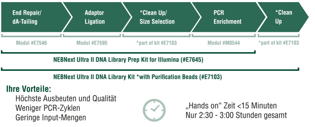 NEBNext Ultra II DNA & RNA Kits – The Core of your NGS Library Prep ...