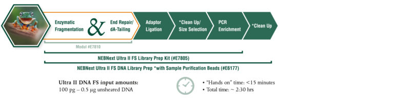 NEBNext Ultra II DNA & RNA Kits – The Core of your NGS Library Prep ...