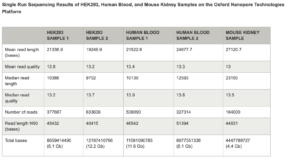 Monarch HMW DNA Extraction Kits - New England Biolabs GmbH