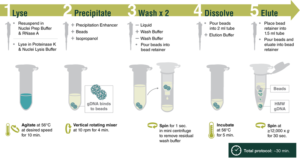 Monarch HMW DNA Extraction Kits - New England Biolabs GmbH