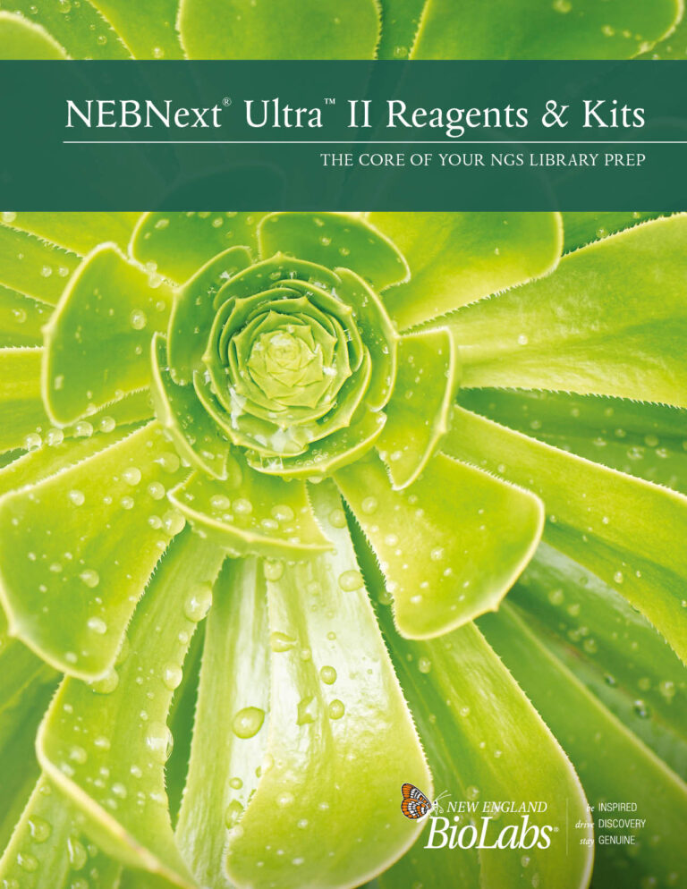 NEBNext Ultra II DNA & RNA Kits – The Core of your NGS Library Prep ...