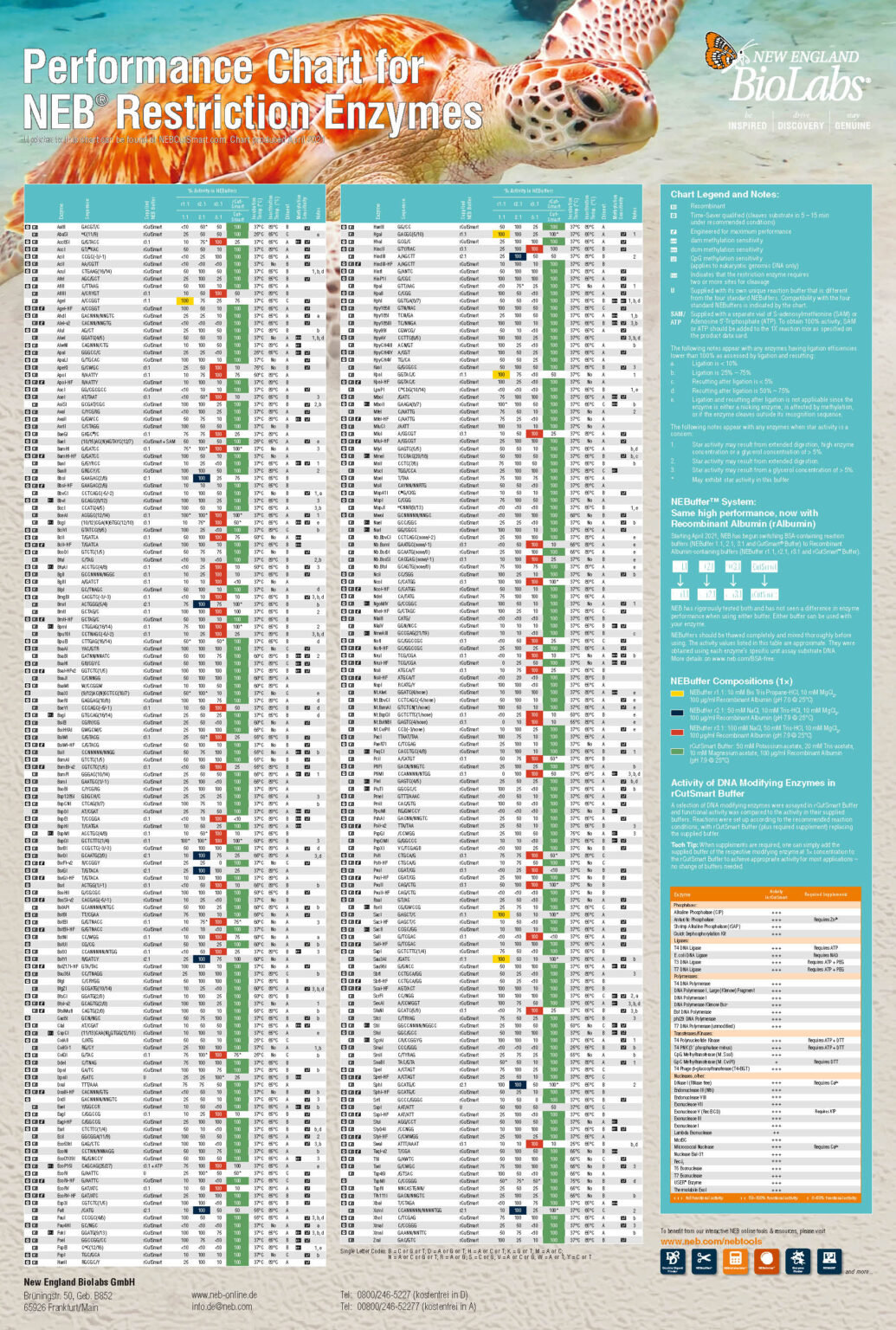 rCutSmart - NEB Puffer System - New England Biolabs GmbH