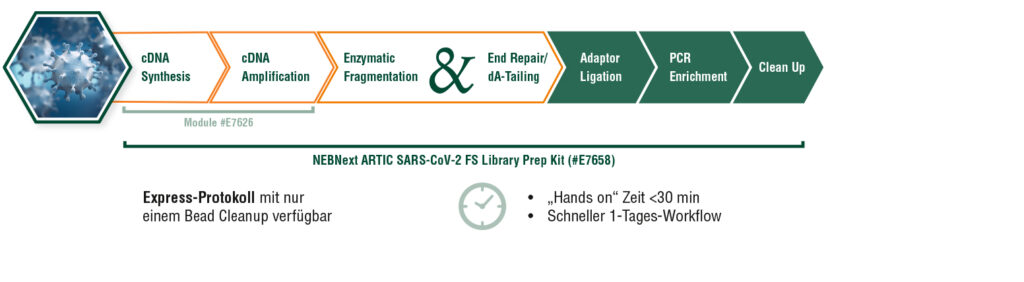 NEBNext Ultra II DNA & RNA Kits – The Core of your NGS Library Prep ...