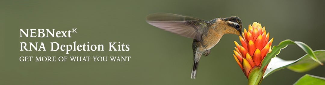 New England Biolabs GmbH - Vorrang für die Wissenschaft.