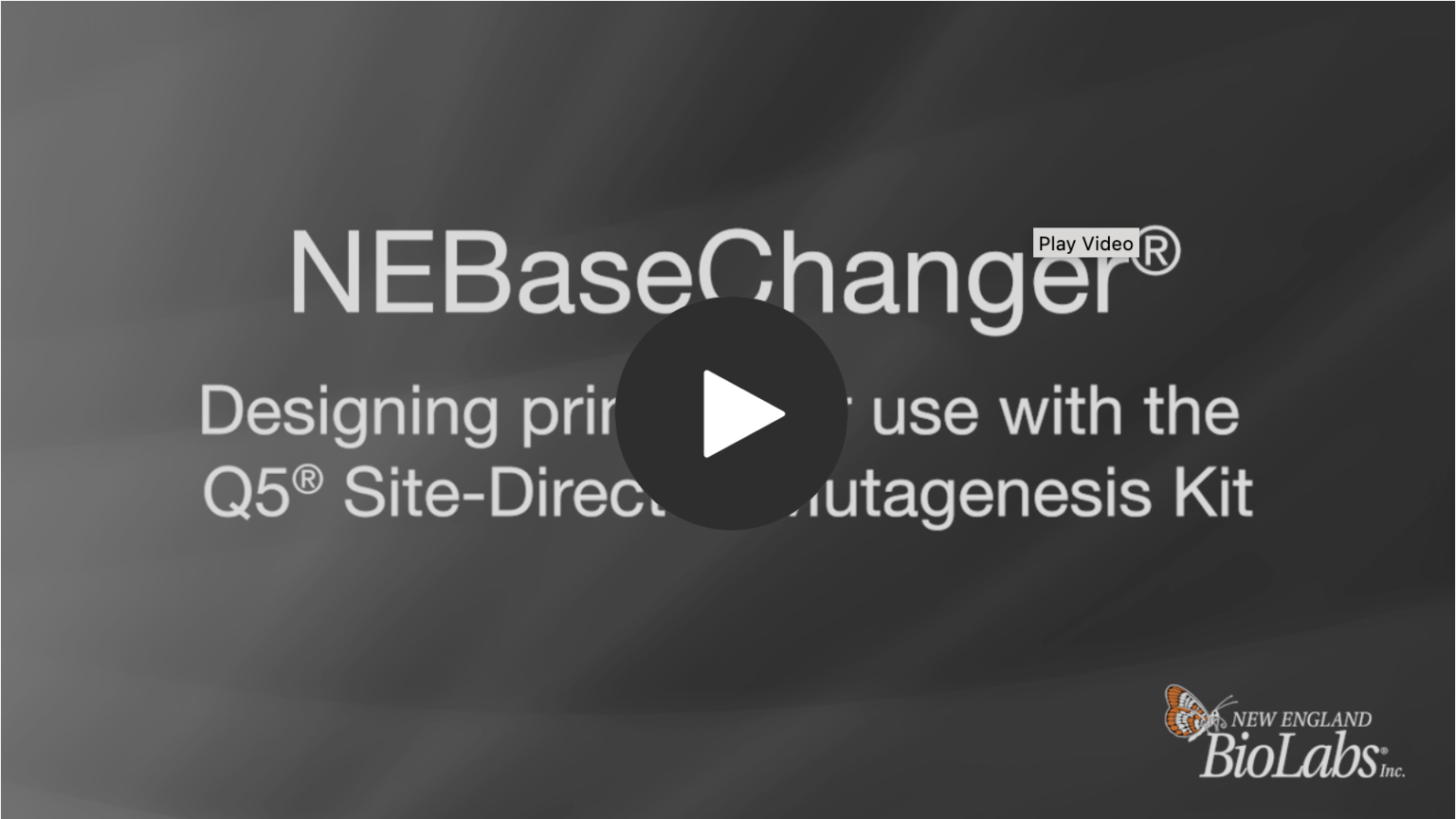 Q5 Site-Directed Mutagenesis Kit - New England Biolabs GmbH