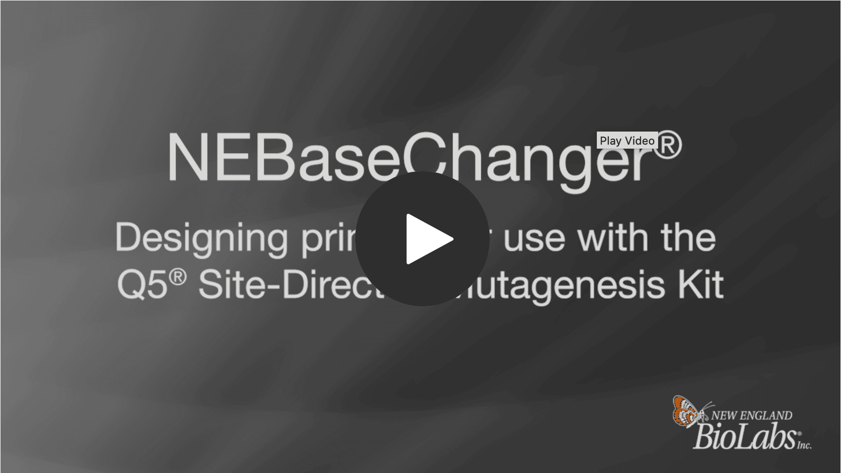 Q5 Site Directed Mutagenesis Kit - New England Biolabs GmbH