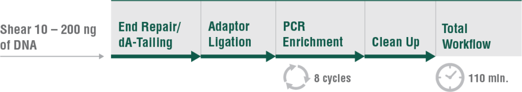 NEBNext UltraExpress Library Prep Kits - New England Biolabs GmbH