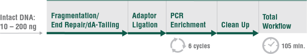 NEBNext UltraExpress Library Prep Kits - New England Biolabs GmbH