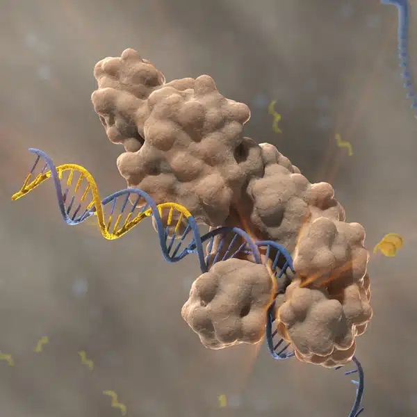 Assemble and Express with Confidence - New England Biolabs GmbH